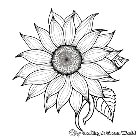 Summer Flower Coloring Pages Free And Printable