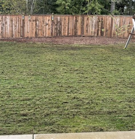 200 To Thatch Aerate And Haul Away Money Well Spent Rlawncare