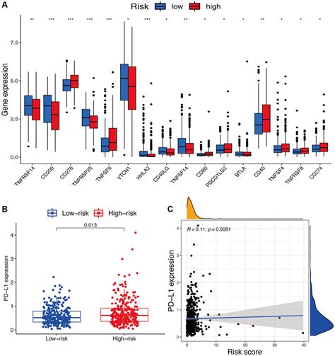 Identification And Validation Of Oxeiptosis Associated Lncrnas And