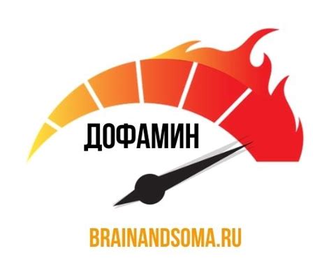 Как повысить уровень дофамина в организме - BRAIN and SOMA