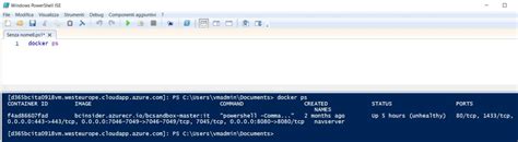 enabling remote powershell connections to a dynamics 365 business