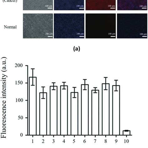 A Fluorescence Results From On Chip Aptamer Based Fluorescent Download Scientific Diagram