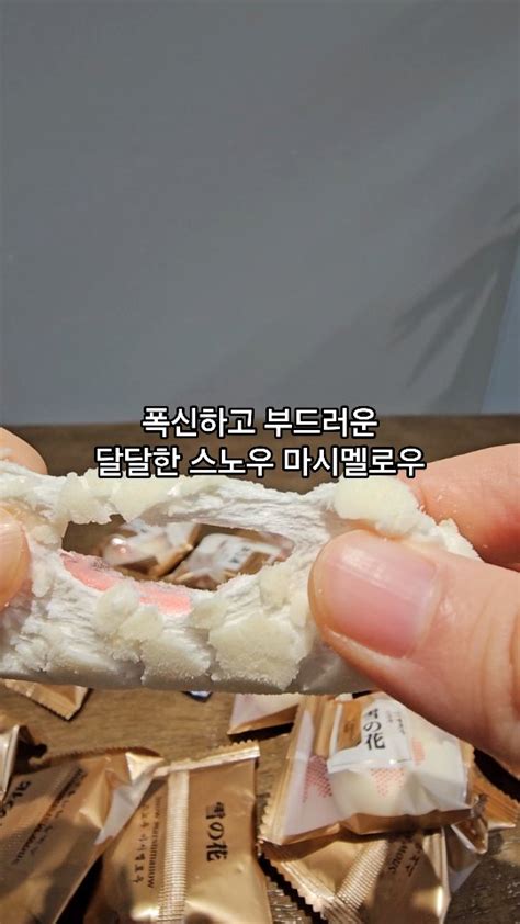 맞팔100 뷰티 여행 맛집 협찬 Paulbassettkorea 폴 바셋 벤티 4가지 메뉴 Dt 매장에 출시 콜드브루 콜드브루 라떼 납작복숭아에이드 한라봉