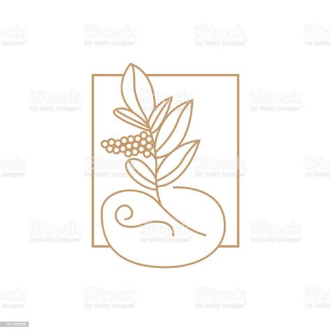 커피 로고 커피 트리 디자인 카페 음료 벡터 아이콘 브랜드 일러스트 레이 션 기호 0명에 대한 스톡 벡터 아트 및 기타 이미지 0명 갈색 광고 Istock