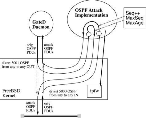 ospf attack implementation download scientific diagram