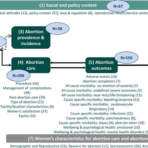 Conceptual Framework For Scoping Review With Numbers Of Indicators For Download Scientific