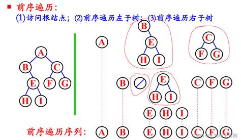 数据结构与算法复习6数据结构中什么叫真子孙 Csdn博客 数据结构与算法复习6数据结构中什么叫真子孙 Csdn博客