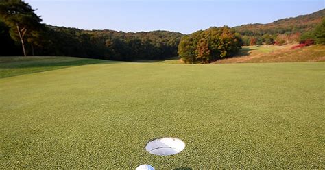 한국골프장경영협회 전국 회원사 골프장 설연휴 휴·개장 현황 발표