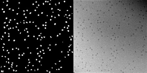 Example Of Ribosome Single Particle Detection Process Download