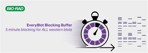 비엠에스 WE DELIVER SCIENCE