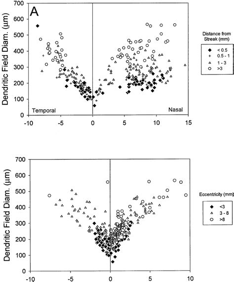 Dependence Of Zeta Cell Dendritic Field Size On Retinal Eccentricity