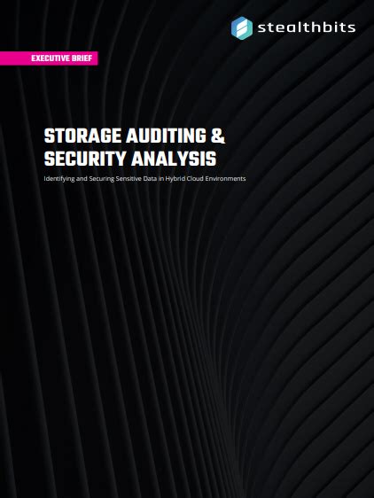 Storage Auditing Security Analysis
