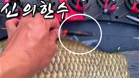 채비 바꾼 것이 신의한수 시작부터 엄청난 녀석이 Youtube