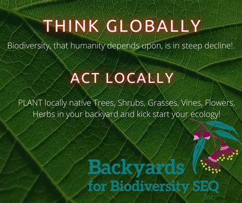 Think Globally Act Locally
