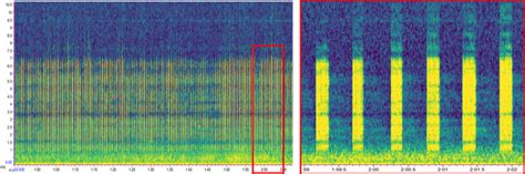 Bioacoustics Research Corncrake Life