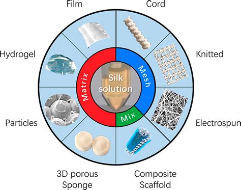 Systematic Review Of Silk Scaffolds In Musculoskeletal Tissue Engineering Applications In The