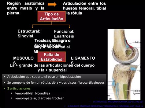 Resonancia Magnetica De Rodilla Pptx