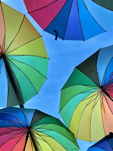 집 밖의 경치 계절 그늘 그래픽 날씨 다이나믹한 다채로운 도시의 디자인 매달린 머리 위로 멀티 컬러 무지개 밑에서부터 밝은 보호 블루