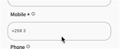 masktextinputformatter erases characters when i do the insertion
