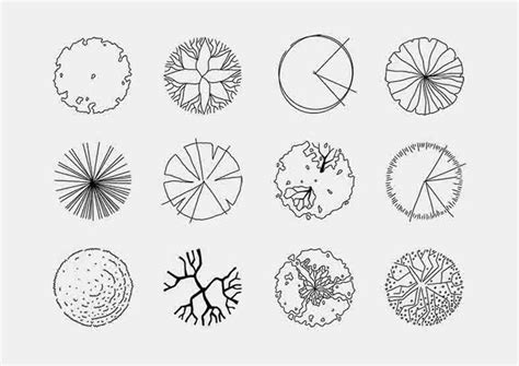 Hand Drawn Architectural Tree Plan Landscape Architecture Drawing