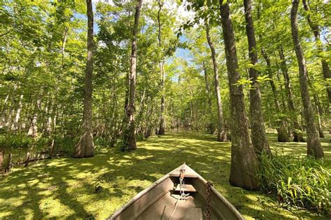 Secrets Of The Louisiana Bayou | TouristSecrets