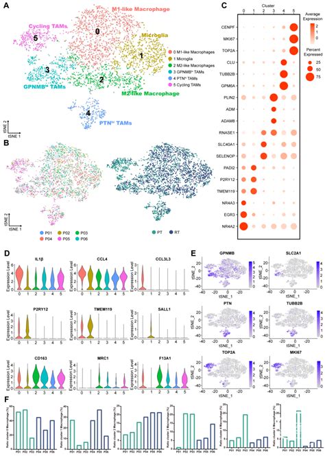 【中国声音】采用单细胞rna测序技术和蛋白质组学揭示原发性和复发性恶性胶质瘤免疫微环境中m2型tams的差异及其对复发的关键作用 脑医汇