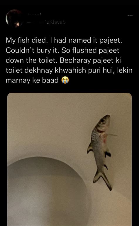 Short Story Pajeet And The Illusive Toilet R Aslichutyapa