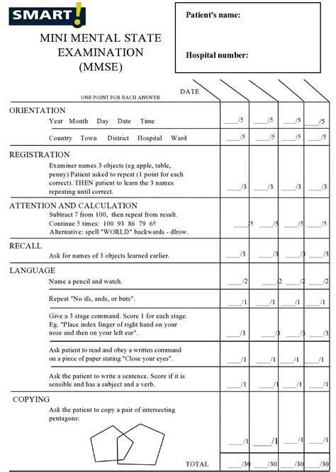 Mini Mental State Examination Printable