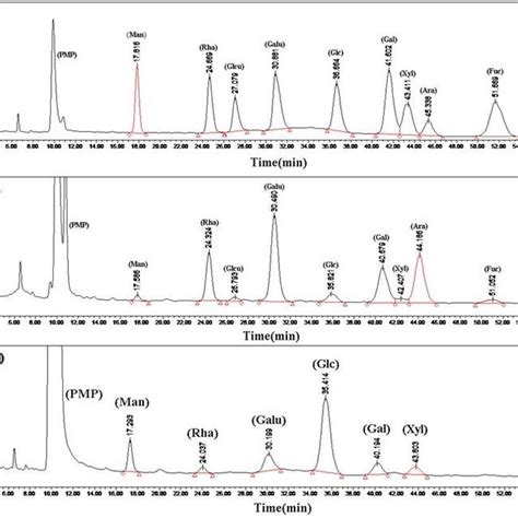 Steps For Polysaccharide Extraction Of Suaeda Salsa L Pall And