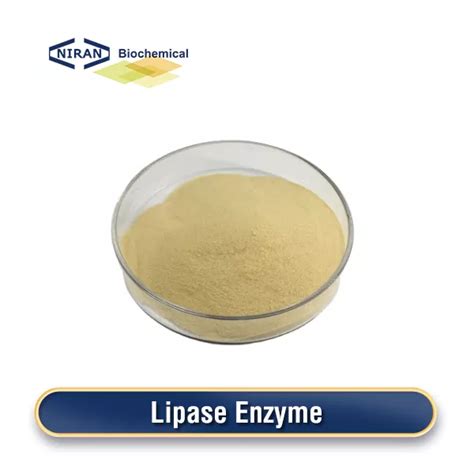 Lipase Enzyme Product