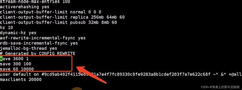 Redis运维redis 日志 Csdn博客