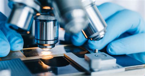 Internal Factors That Influence Cell Division