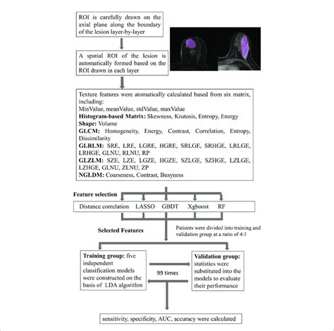 Flowchart Of The Mri Classification Process By Different Selection Download Scientific