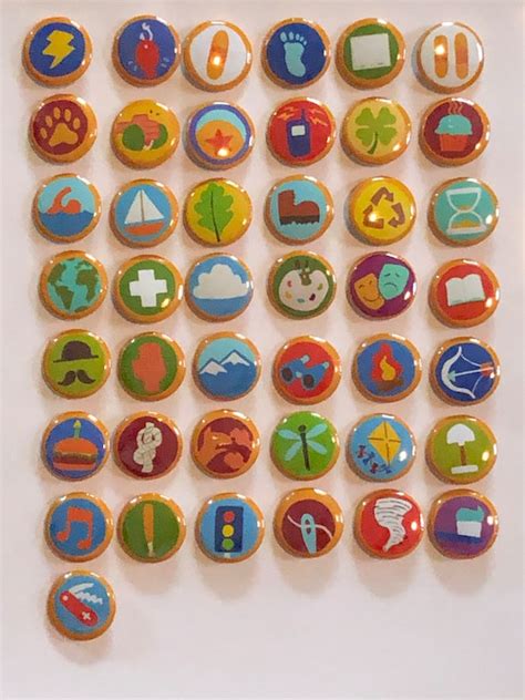 Wilderness Explorer Badges 1 Inch Etsy