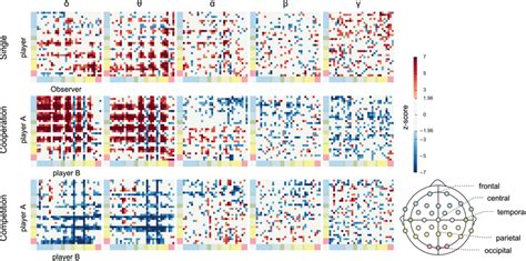 Comparison Of Interbrain Phase Locking Values Plvs Between True And Download Scientific