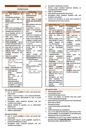 Session Plan On Setting Up Computer Netwrok Computer System Servicing NCII Setting Up