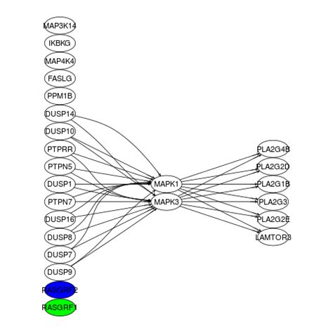 Graph Graphnode With Different Colors In R Using Graphviz Stack