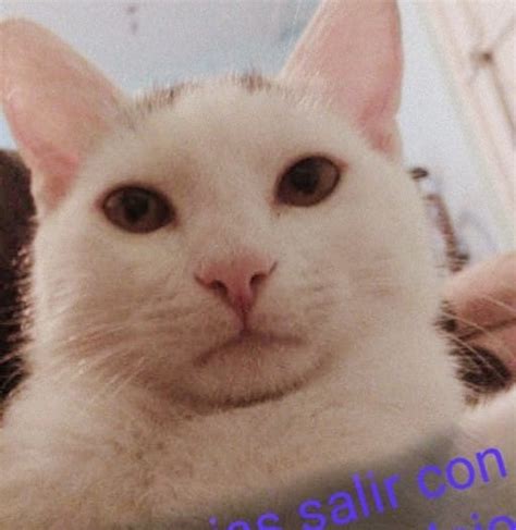 El Mamado Alegre Added A New Photo El Mamado Alegre