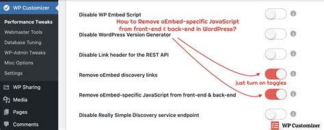 how to remove oembed specific javascript from front end and back end in