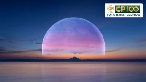 เชิญชวนผู้บริหารและเพื่อนพนักงาน โหลดภาพพื้นหลังเสมือนจริง Virtual Background Cp Group เวอร์ชั่