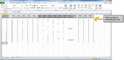 How To Design Survey Forms For Quick Data Entry Tools4dev