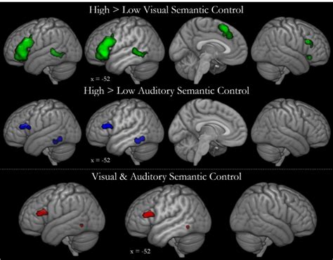 the multimodal semantic control network top the activation likelihood