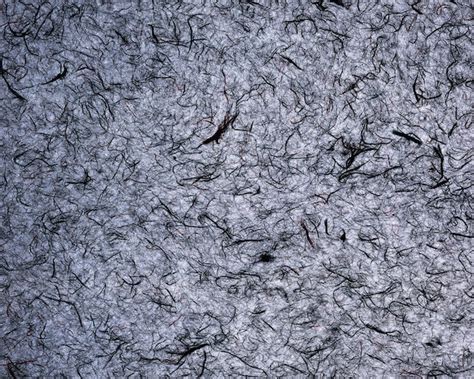 Leather Texture Premium Photo