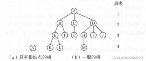 数据结构学习笔记 5 树和二叉树 独立元素能在一条树上吗 csdn博客