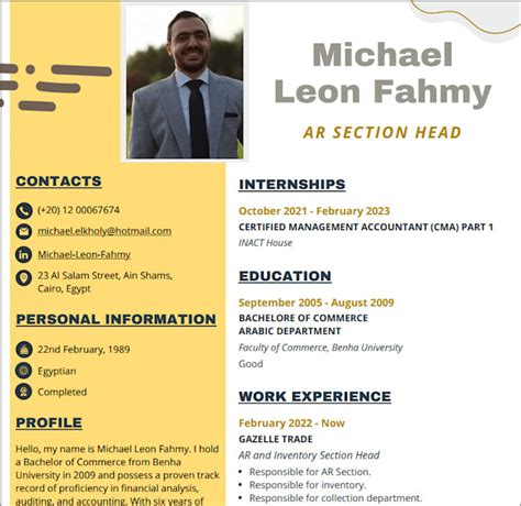 Build Your Cv With Awesome Design From Scratch By Mina Elkholy Fiverr