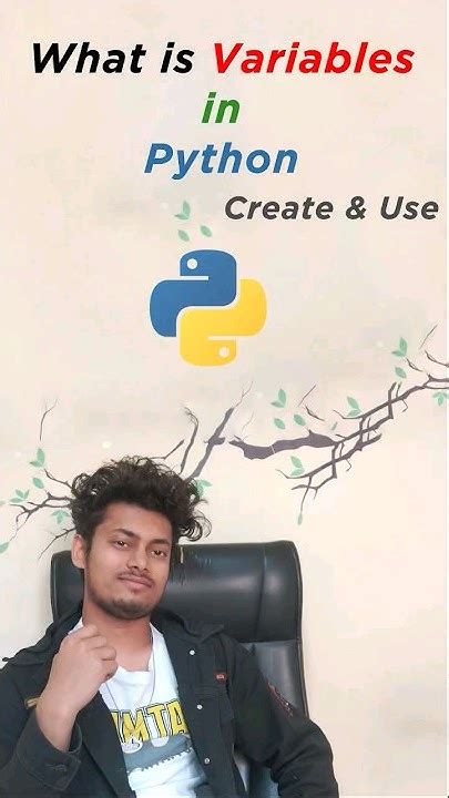 What Is Variable In Python How To Create Variable In Python