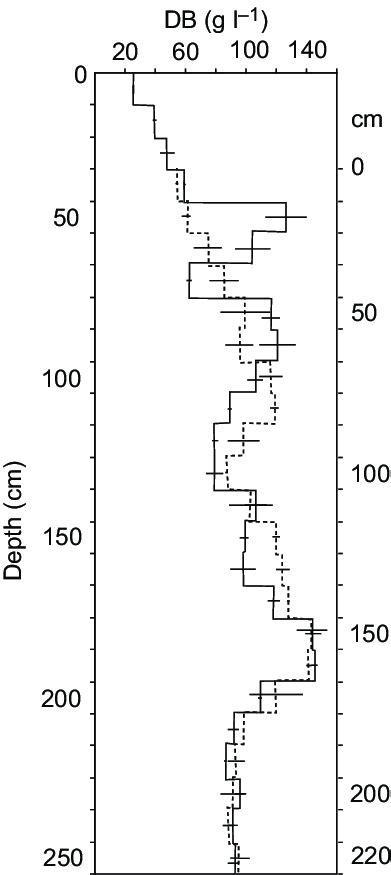 The Average Db Values Of The Stratigraphically Correlated Undr Solid Download Scientific