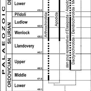 Stratigraphic Distribution And Inferred Phylogeny Of Holothuroidea