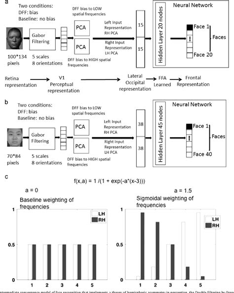 figure 1 from holistic processing as measured in the composite task