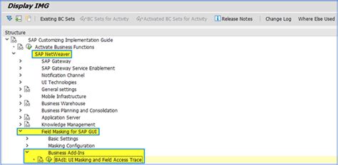 Field Masking Context Based Masking Scenario In Sap Community